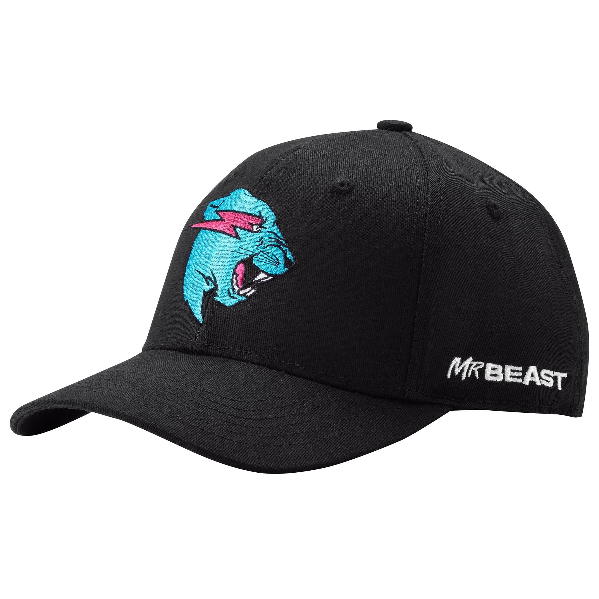 ACCESSORIES – MrBeast.store