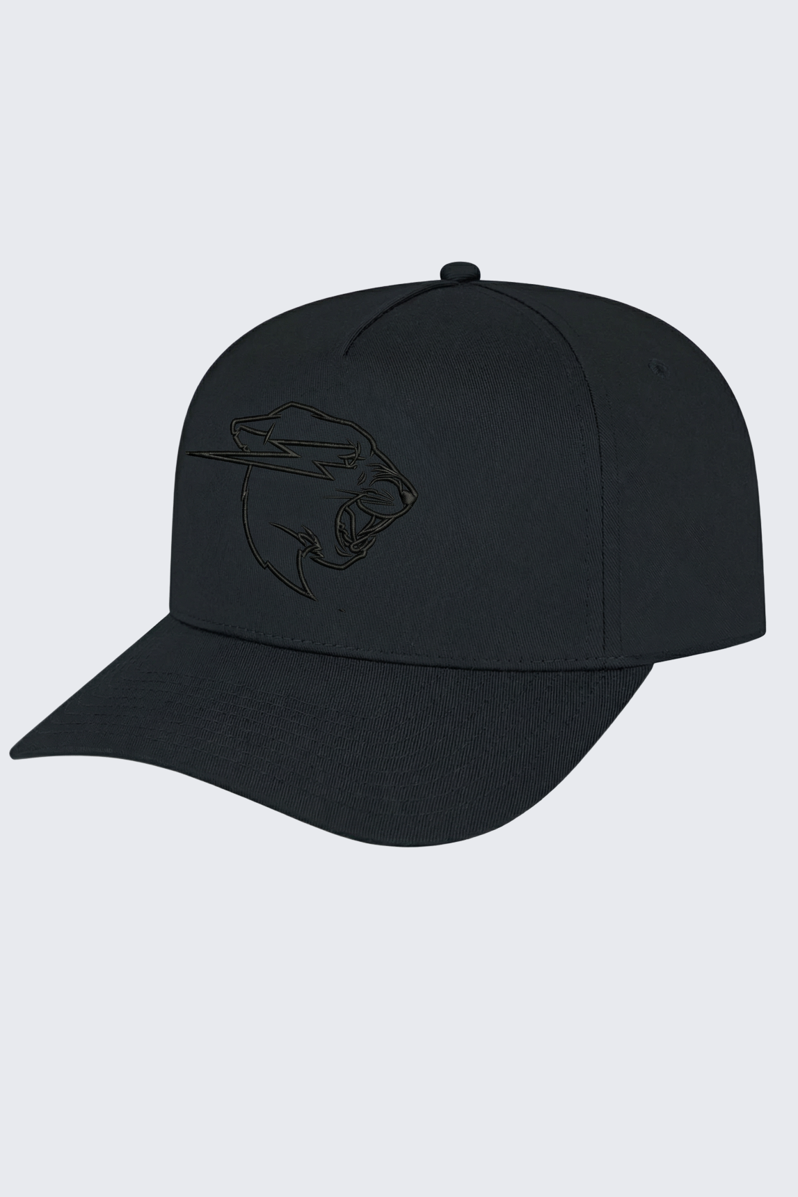 Stealth Panther Hat – MrBeast.store